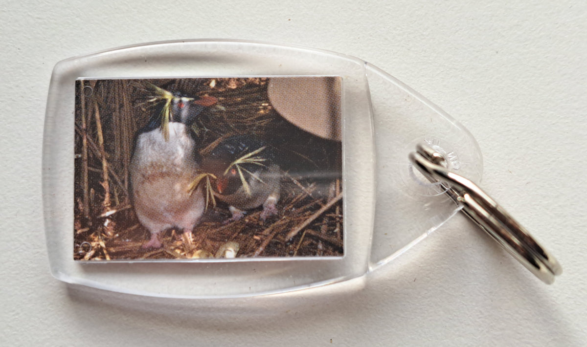 Picture Key Ring| tristandacunha